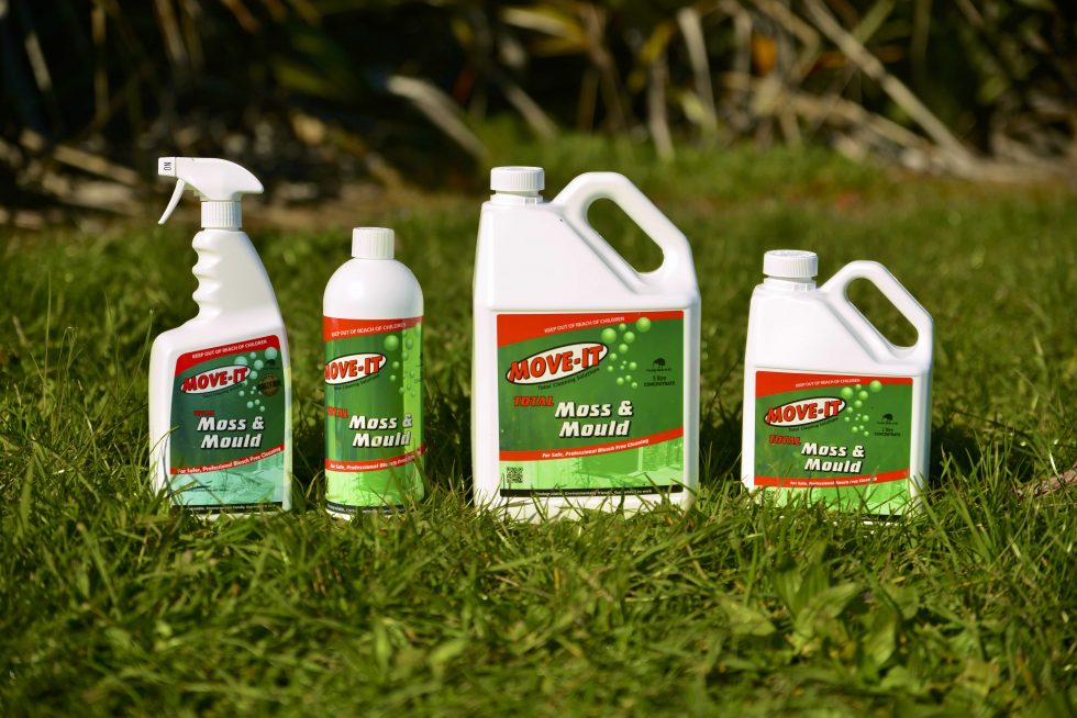 Moss & Mould | Move It Cleans